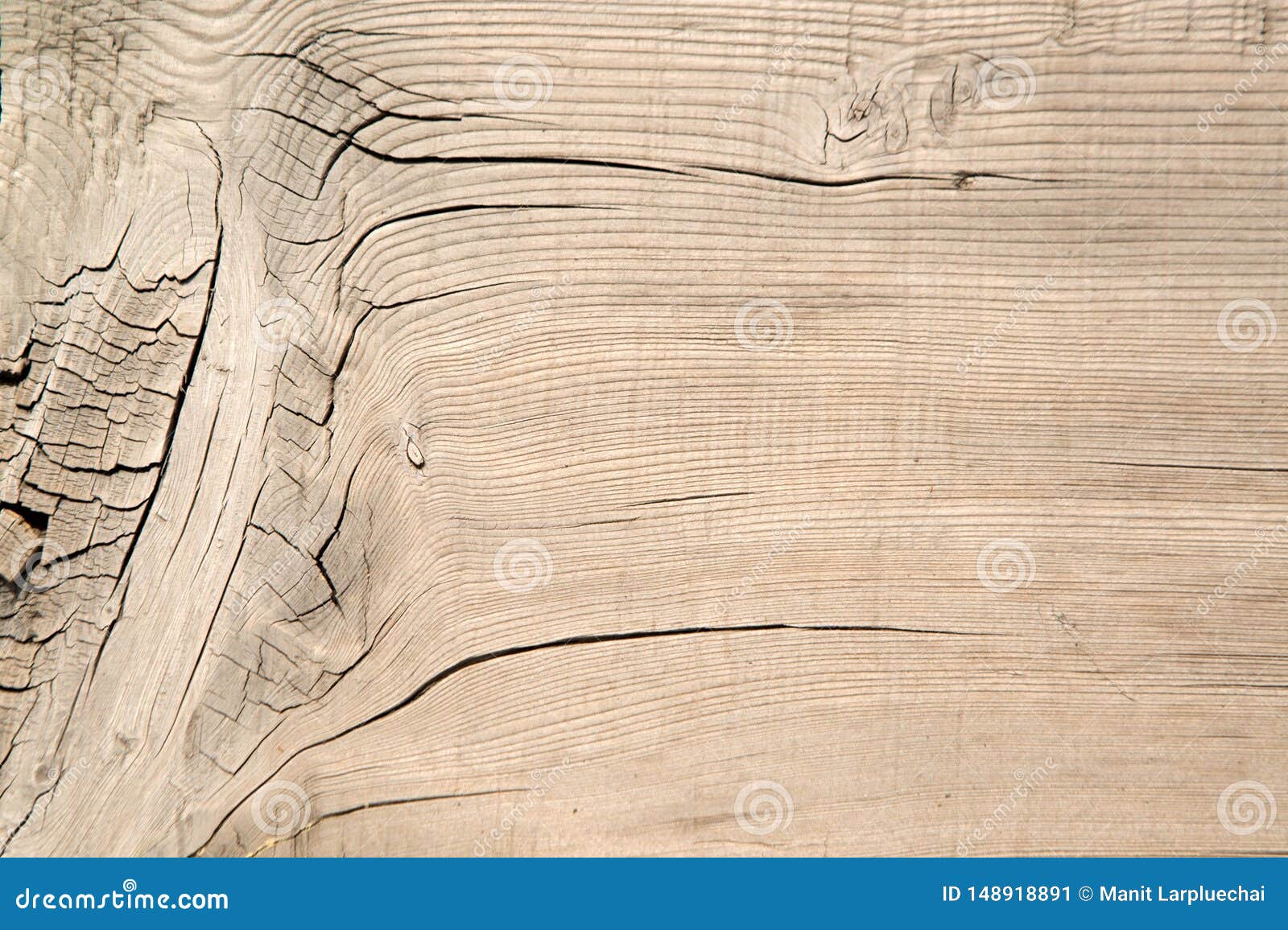 Timber Vintage Old Wood Texture and Background Surface. Stock Image ...