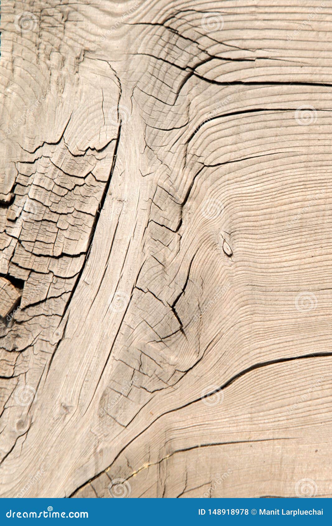 Timber Vintage Old Wood Texture and Background Surface. Stock Photo ...