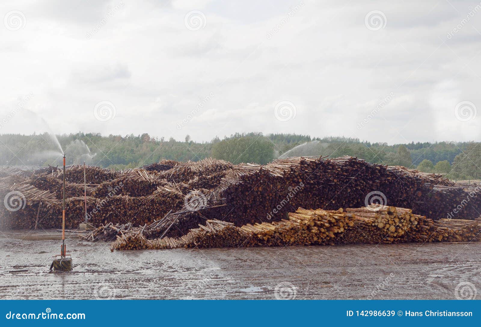 Timber Waiting To Be Pulp at the Pulp and Paper Mill Stock Image ...