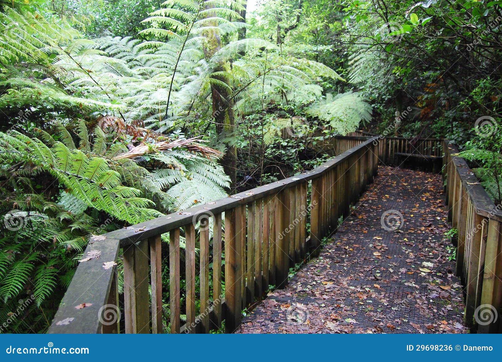 Timber Walking Path in Park Stock Photo - Image of walk, travel: 29698236