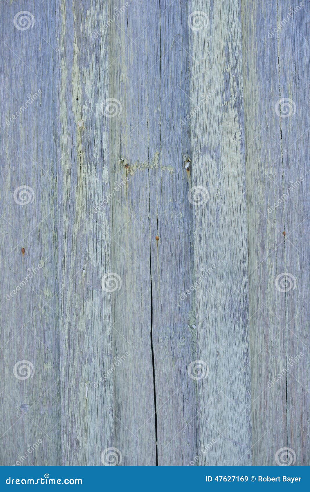 Timber Wall with Wood Grain Texture Stock Image - Image of backdrop ...