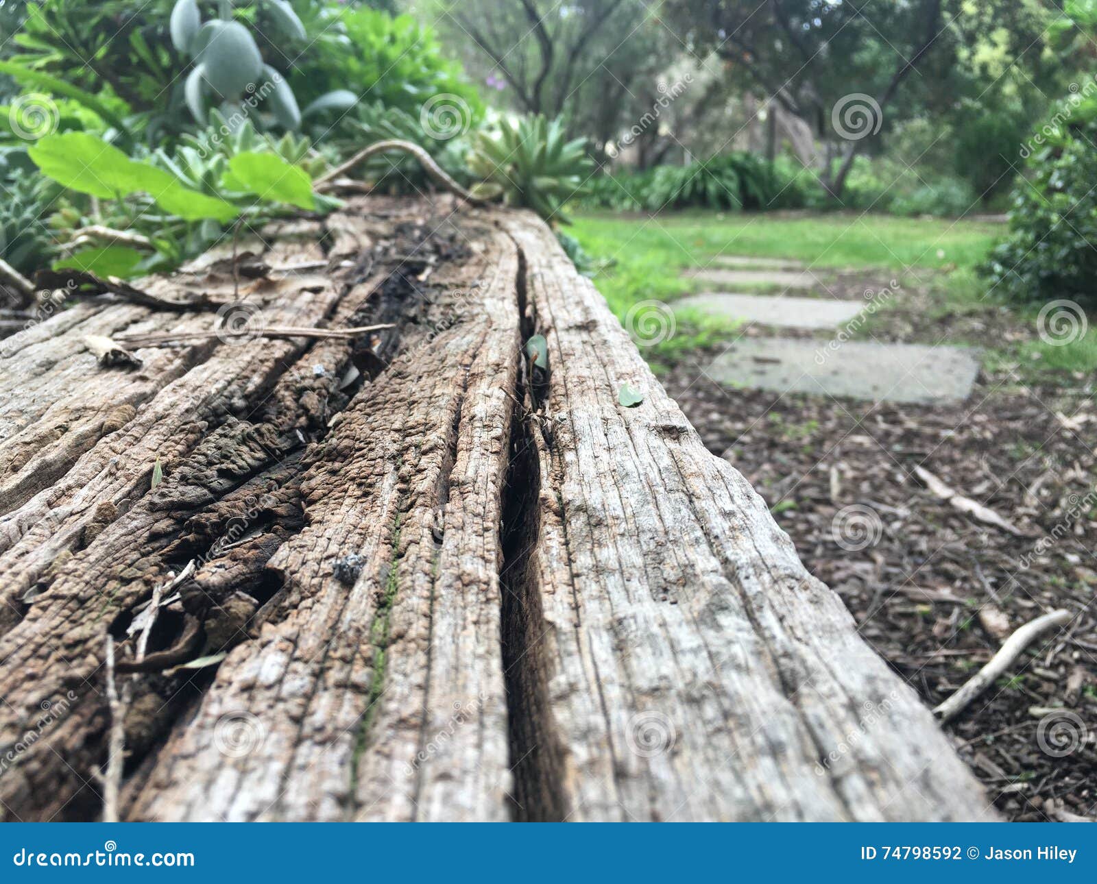 Timber wall stock photo. Image of perspective, wall, wood - 74798592
