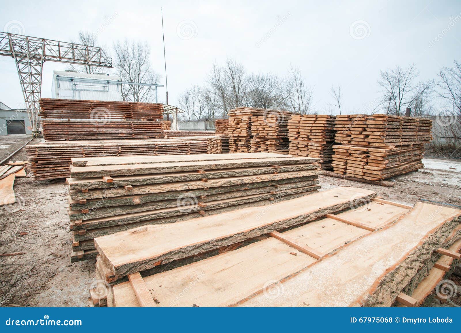 Timber warehouse materials stock photo. Image of pile - 67975068