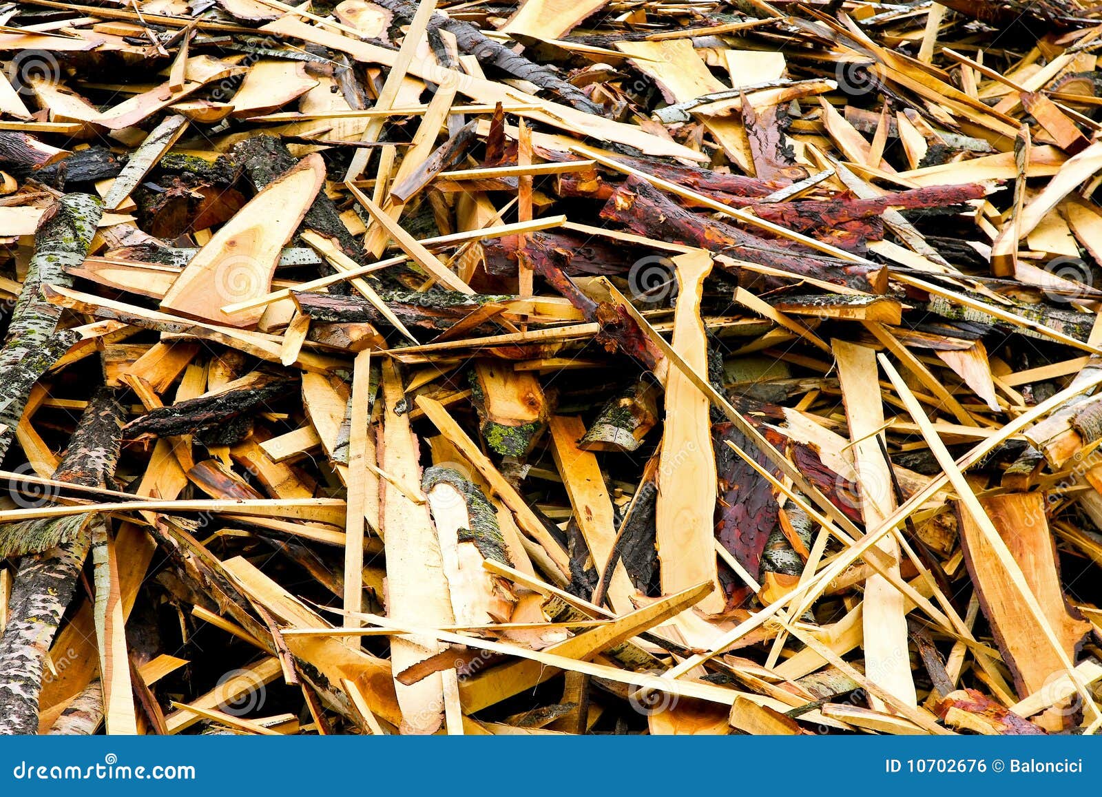 Timber waste stock photo. Image of recycle, tree, waste - 10702676