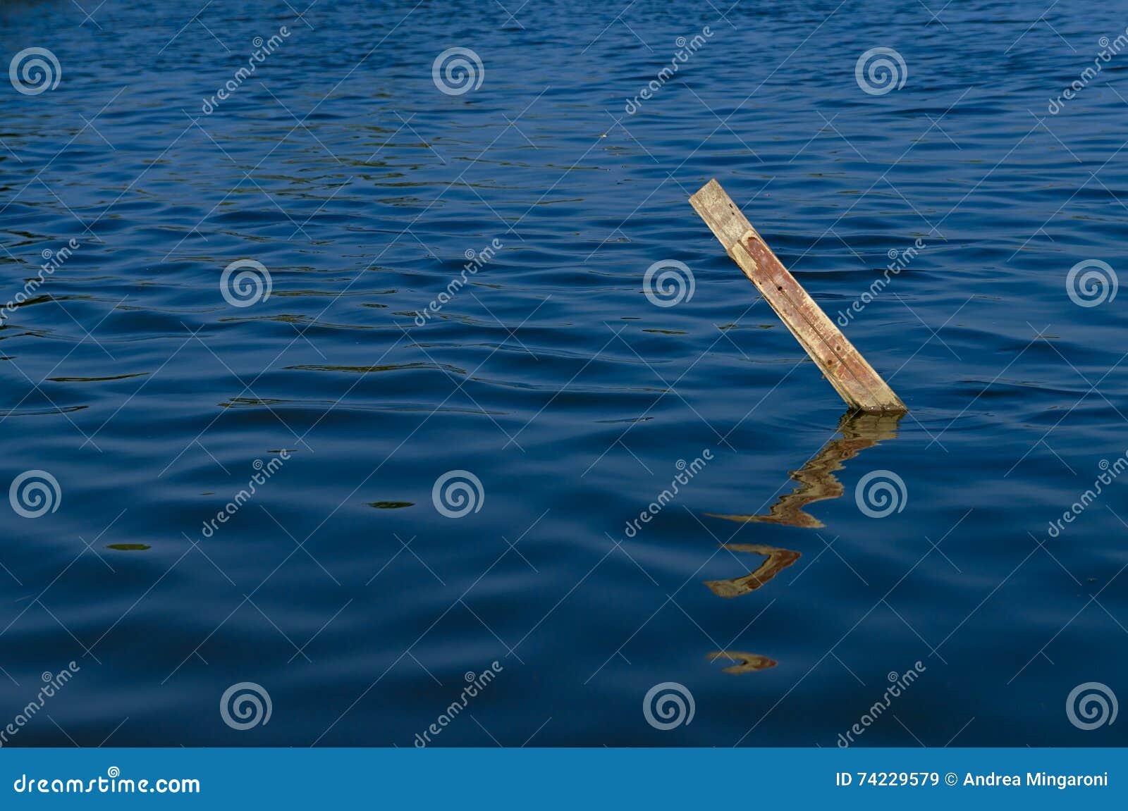 Timber in the water stock image. Image of reflect, reflection - 74229579