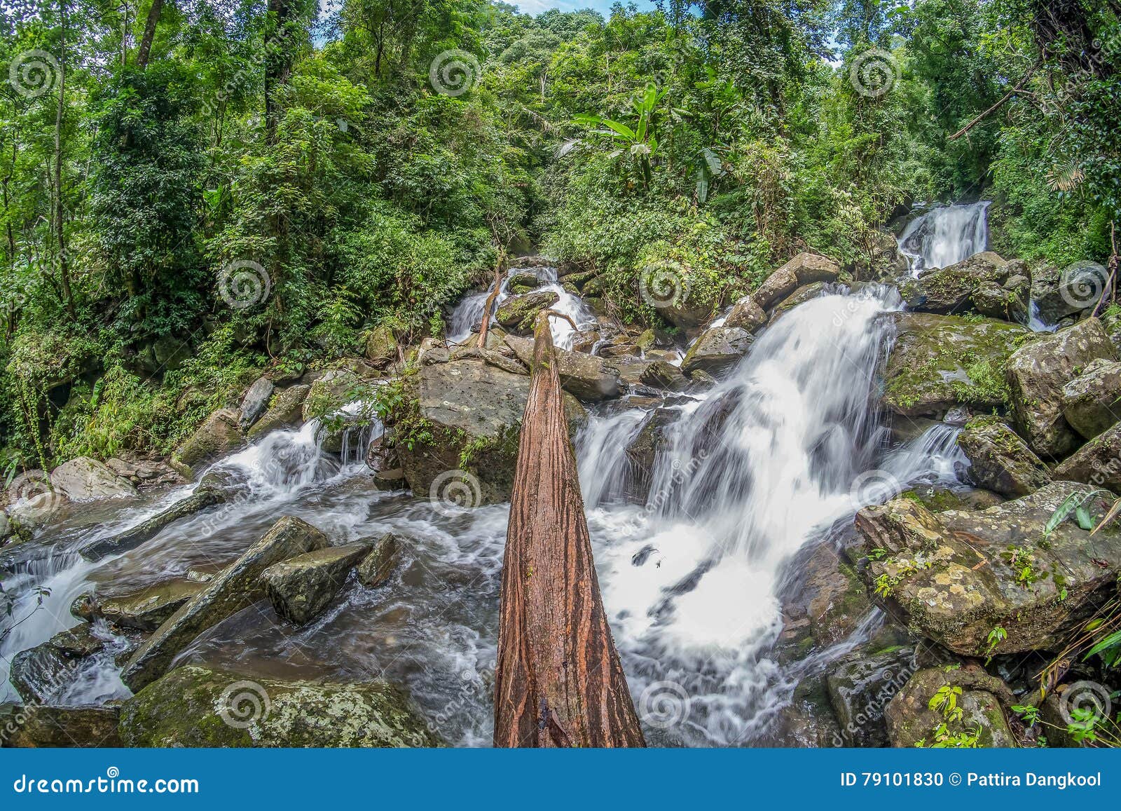 Timber on the waterfall stock photo. Image of greenery - 79101830