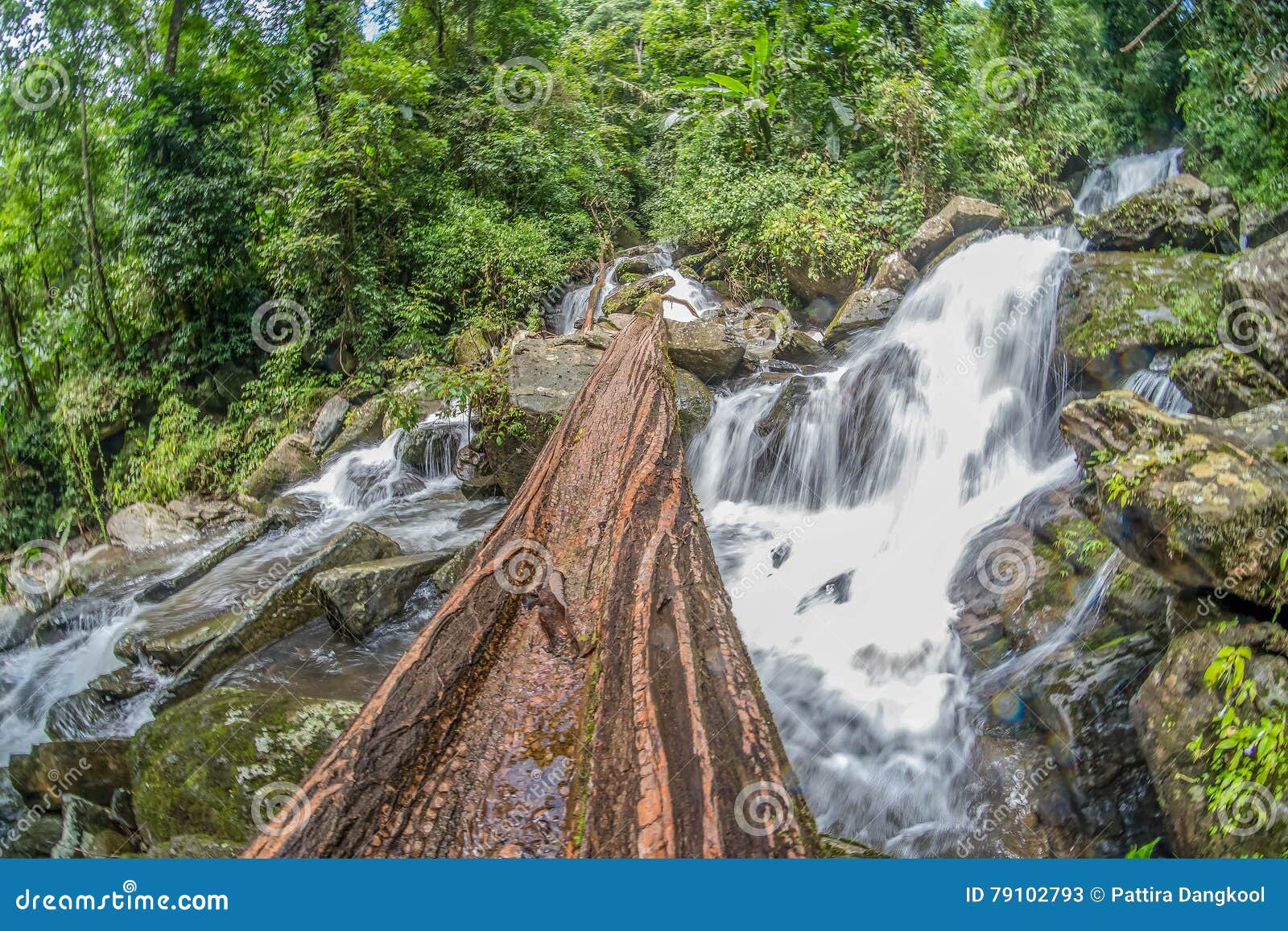 Timber On The Waterfall Stock Photography | CartoonDealer.com #79101830