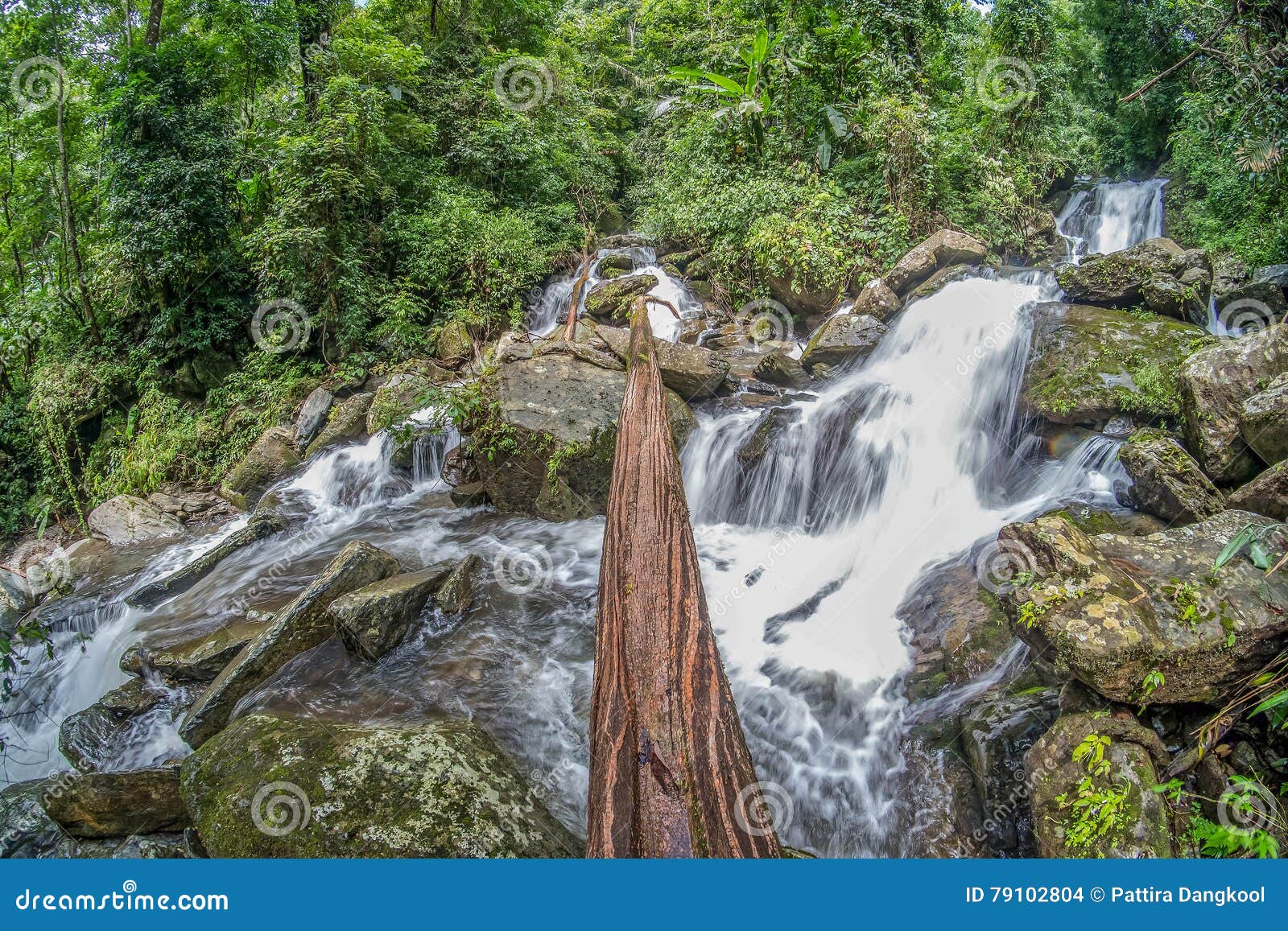 Timber on the waterfall stock photo. Image of green, beautiful - 79102804