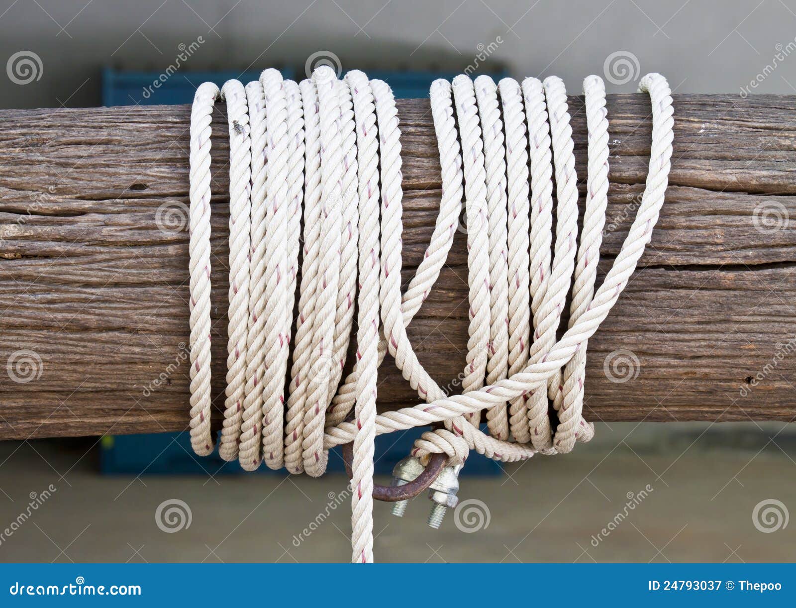 Timber with a white rope. stock image. Image of white - 24793037