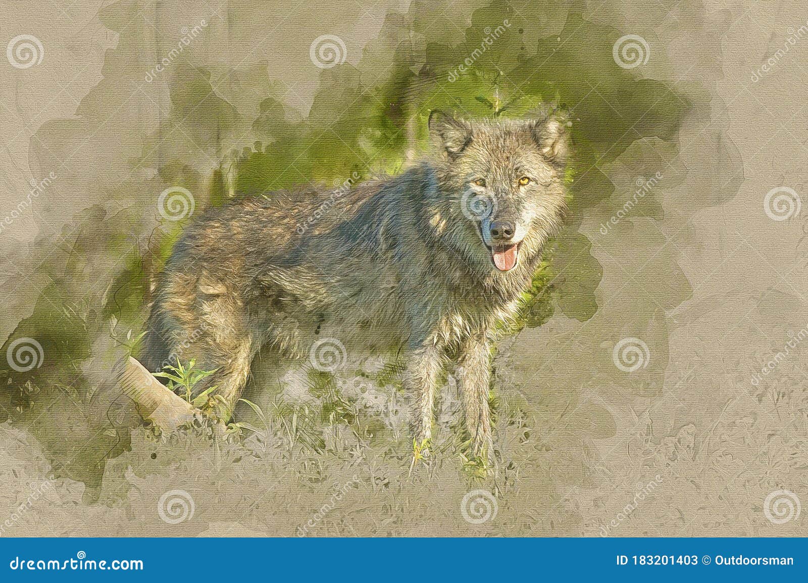 Timber wolf computer art stock image. Image of wildlife - 183201403