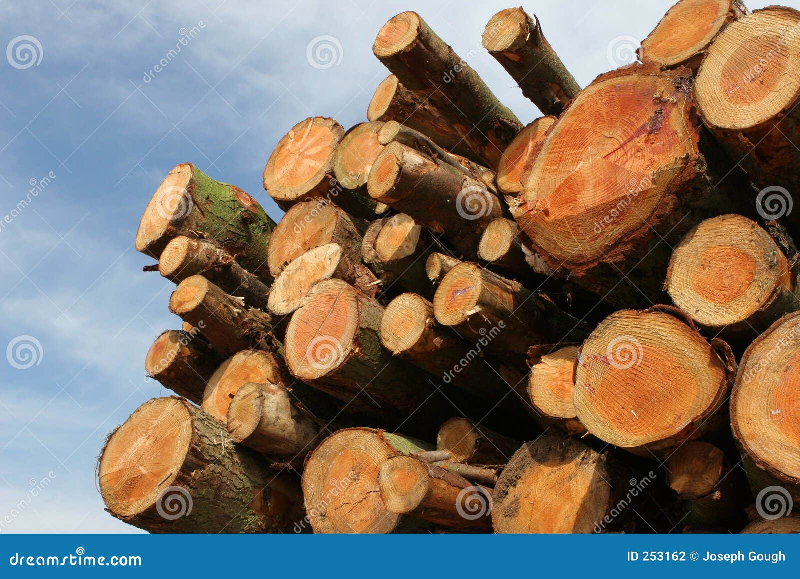 Timber Wood Lumber Logs stock photo. Image of blue, timber - 253162