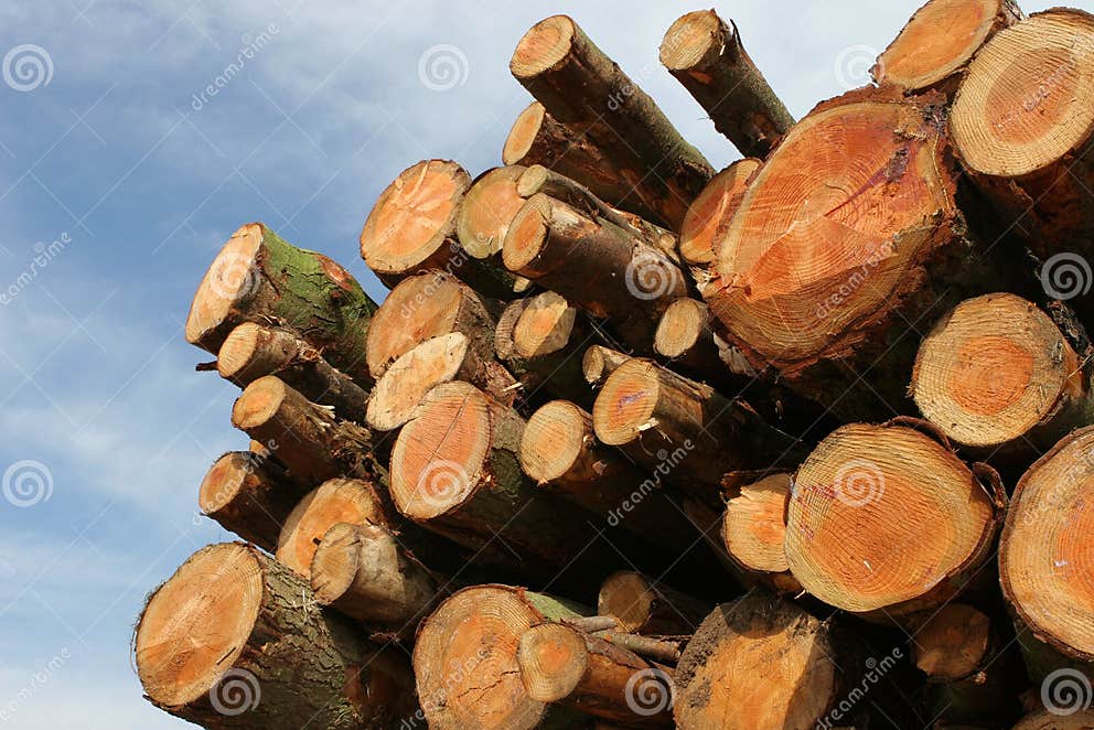 Timber Wood Lumber Logs stock photo. Image of blue, timber - 253162