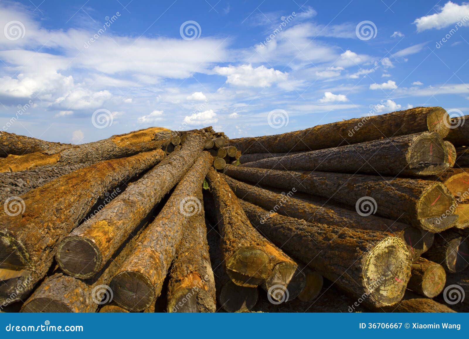 Timber stock image. Image of forestry, stack, lumber - 36706667