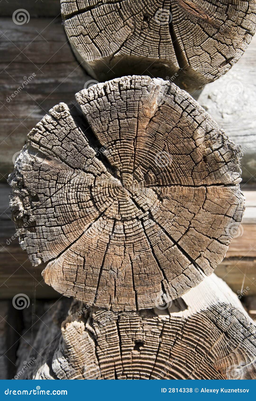 Timber work 3 stock photo. Image of material, izba, build - 2814338