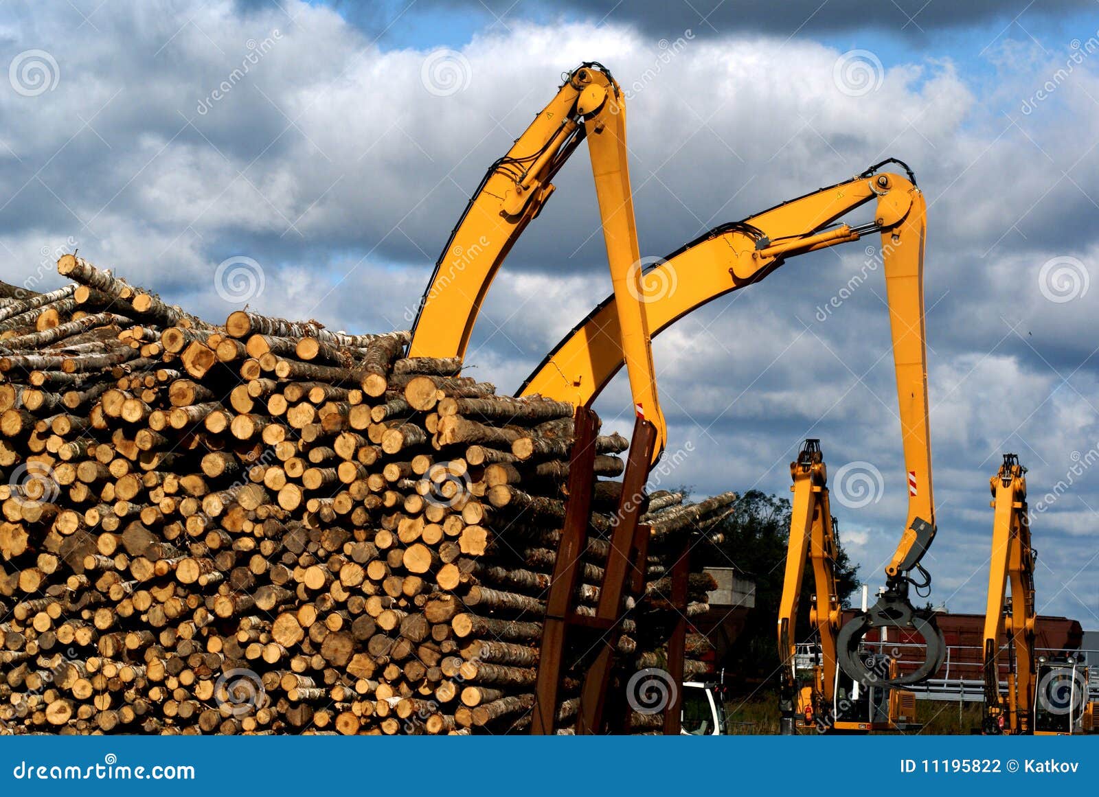 Timber yard stock photo. Image of lumberjack, agricultural - 11195822