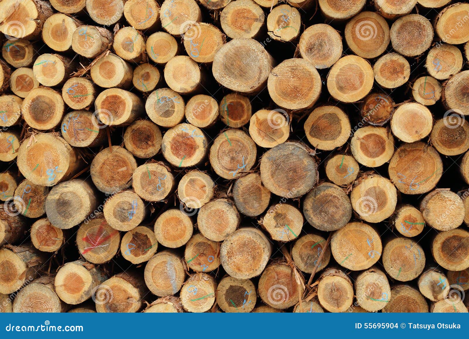 Timber yard stock photo. Image of stacked, yard, texture - 55695904