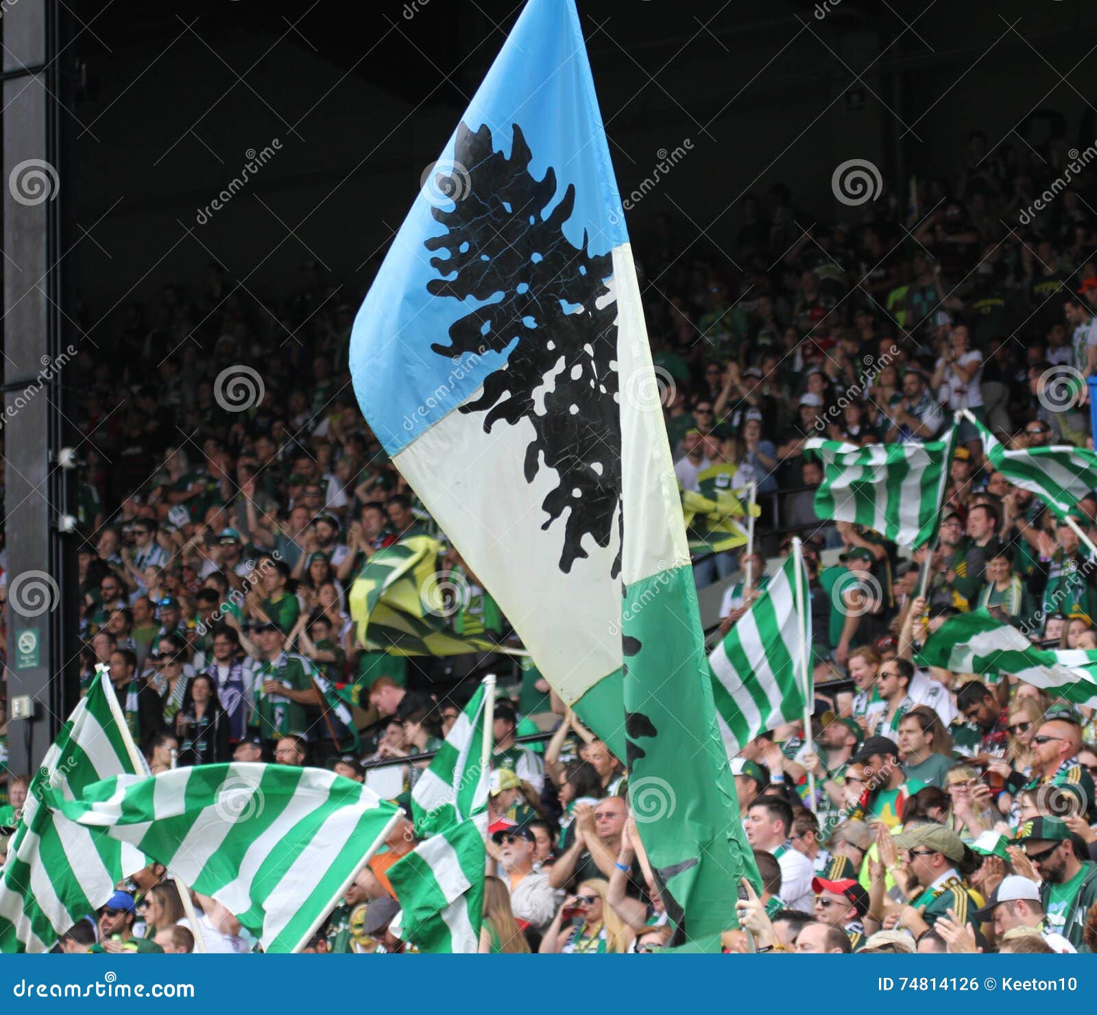 Timbers Army flags editorial photo. Image of army, flags - 74814126