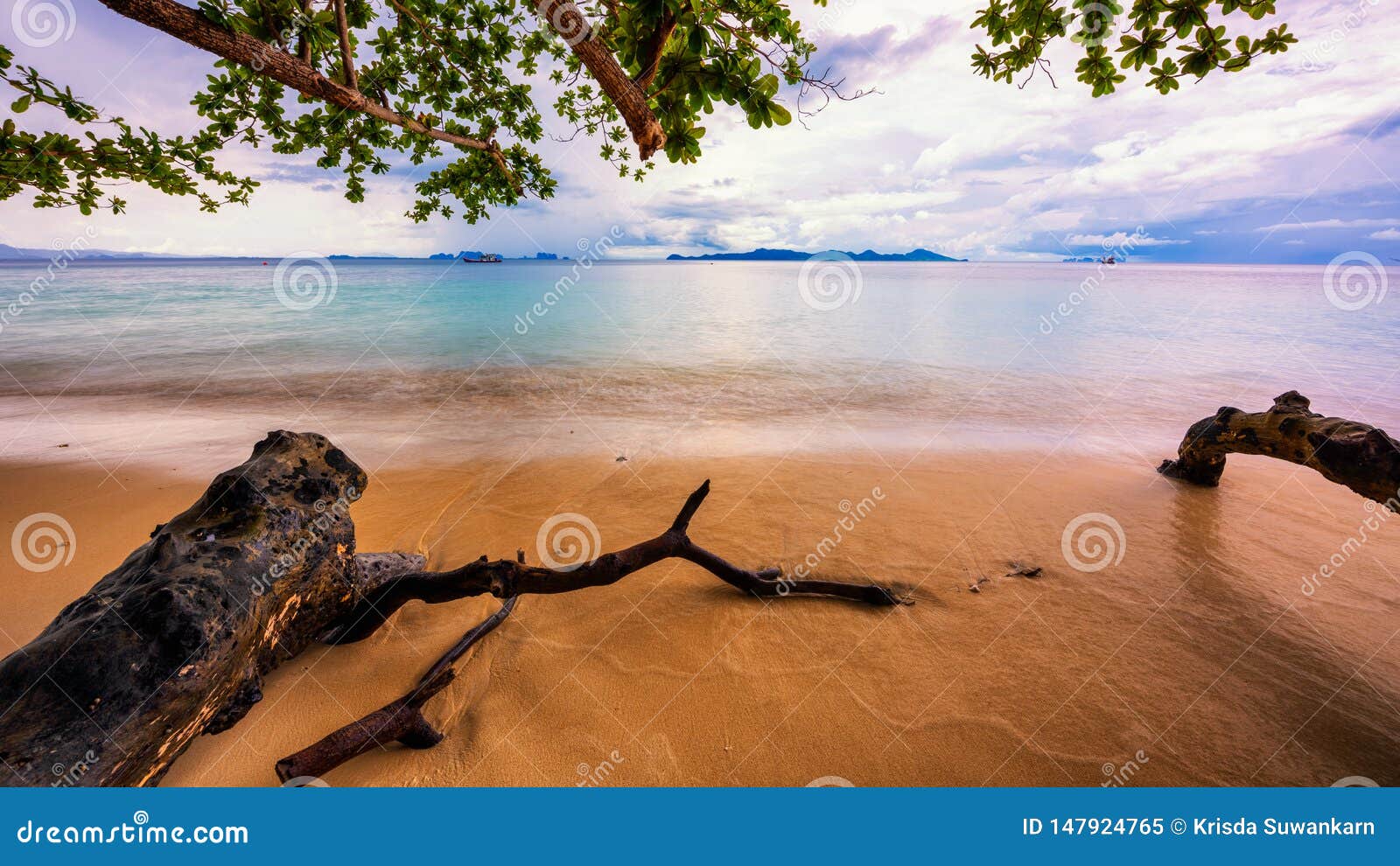 Timbers on the Beach with Tree Branches, Long Exposure Stock Image ...