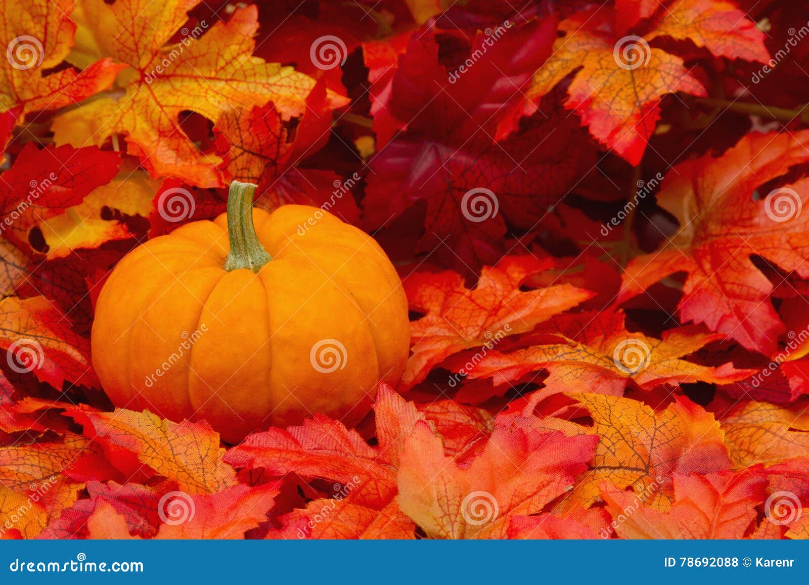 It is time for Autumn stock photo. Image of fall, season - 78692088