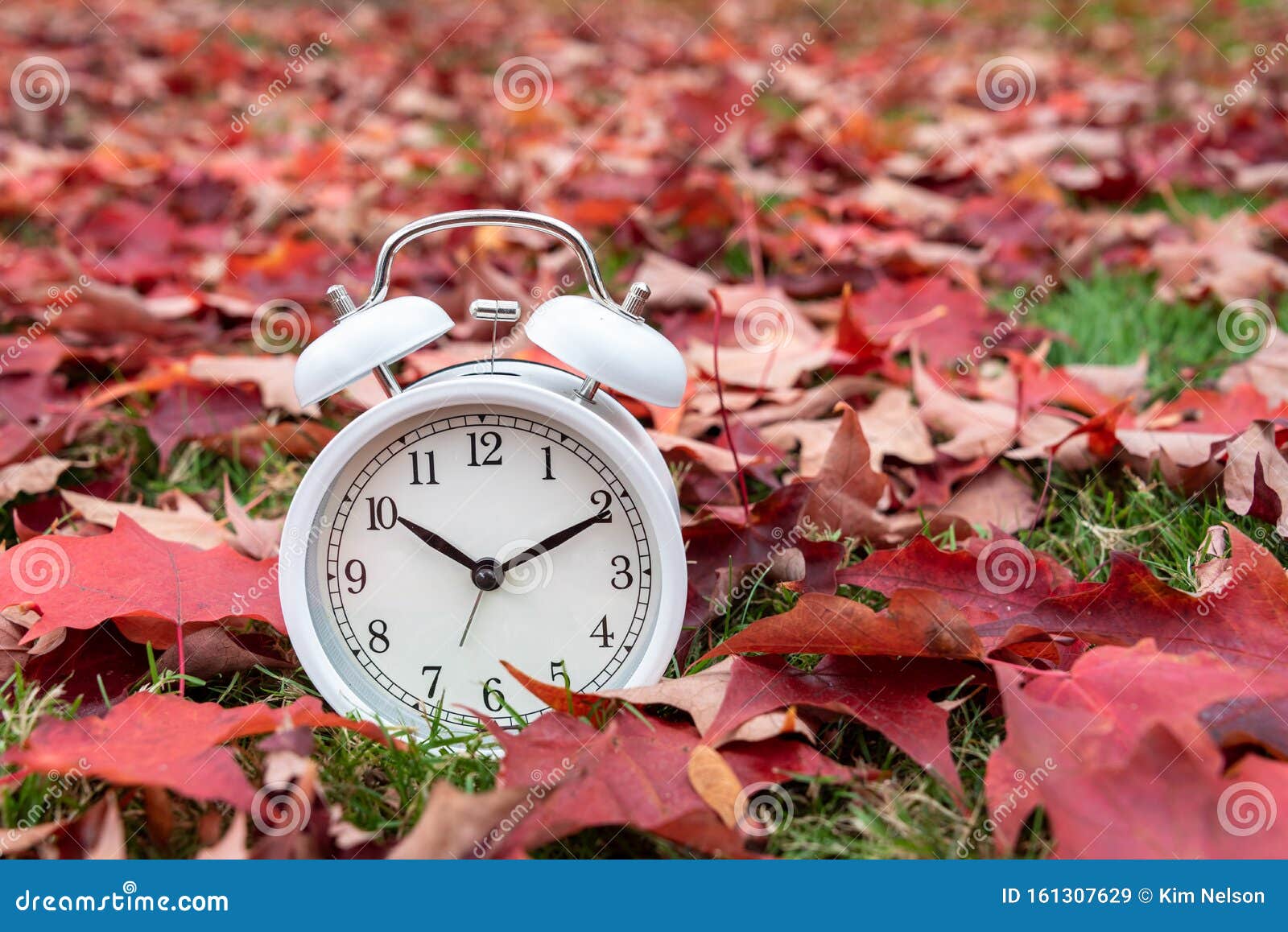 Time Change, Classic White Alarm Clock Outside on Grass Covered with ... Time Change, Classic White Alarm Clock Outside on Grass Covered with ...