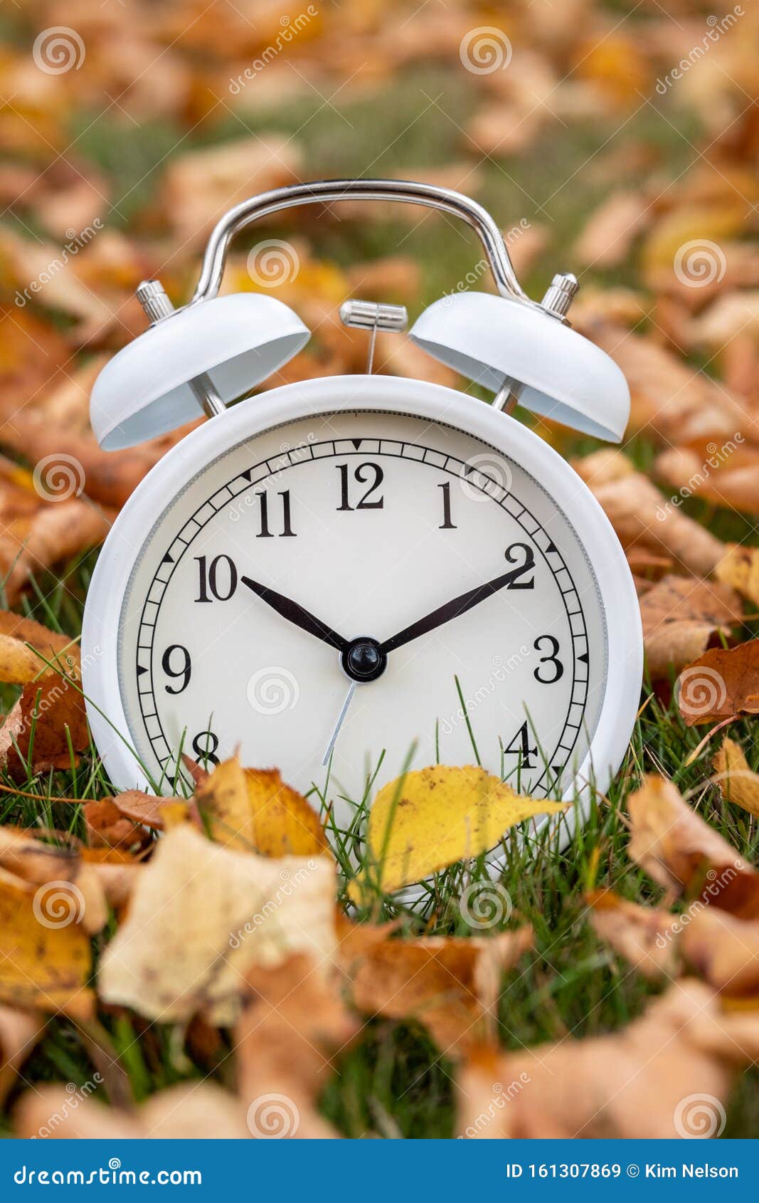Time Change, Classic White Alarm Clock Outside on Grass and Moss with ... Time Change, Classic White Alarm Clock Outside on Grass and Moss with ...