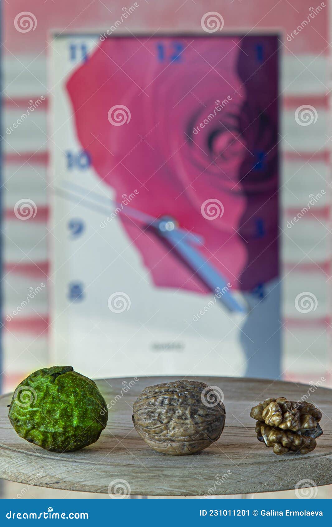 Time Concept. Time Passes by the Example of the Transformation of a Nut ...