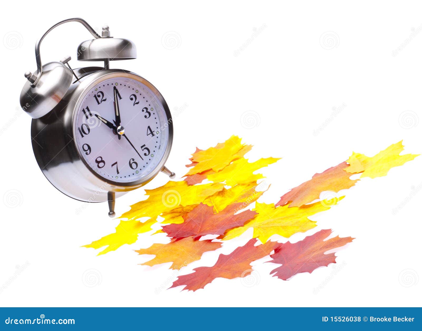 Time for Fall stock photo. Image of colorful, leaf, vibrant - 15526038