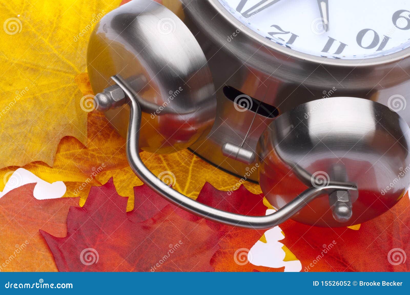 Time for Fall stock photo. Image of fall, tree, future - 15526052