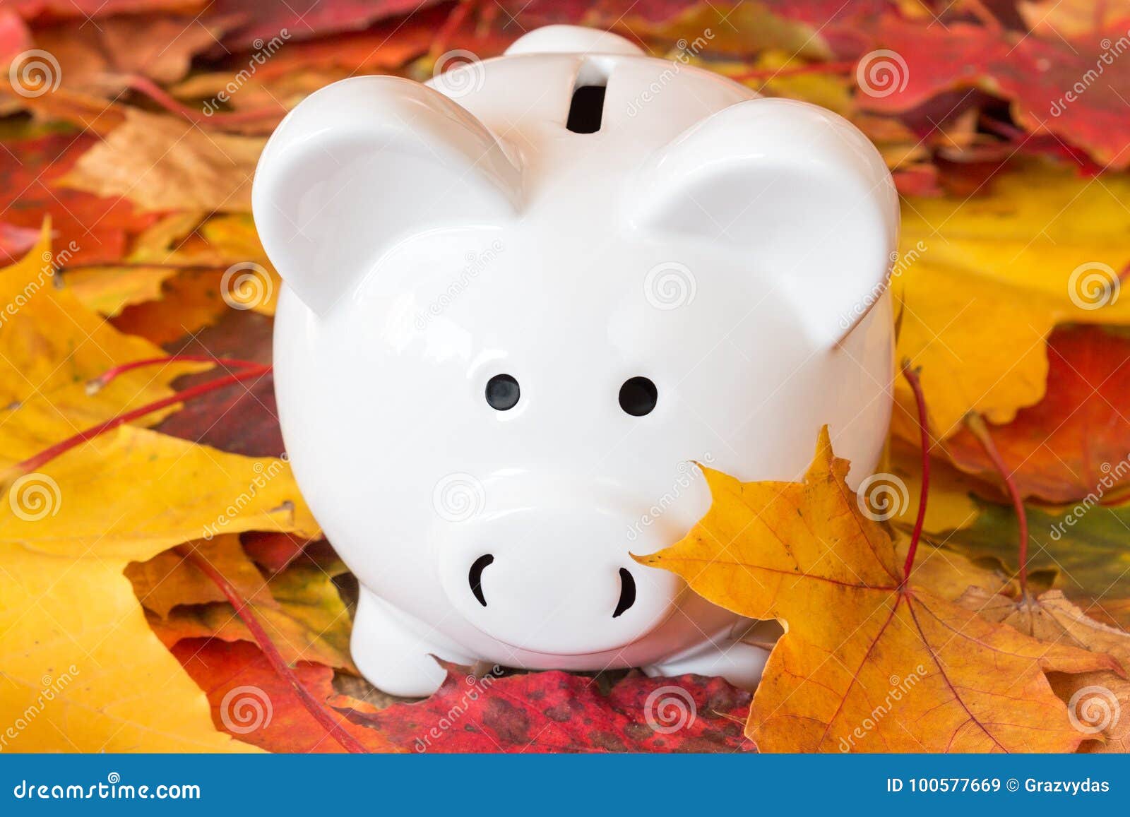 Time for Fall Savings stock image. Image of payment - 100577669