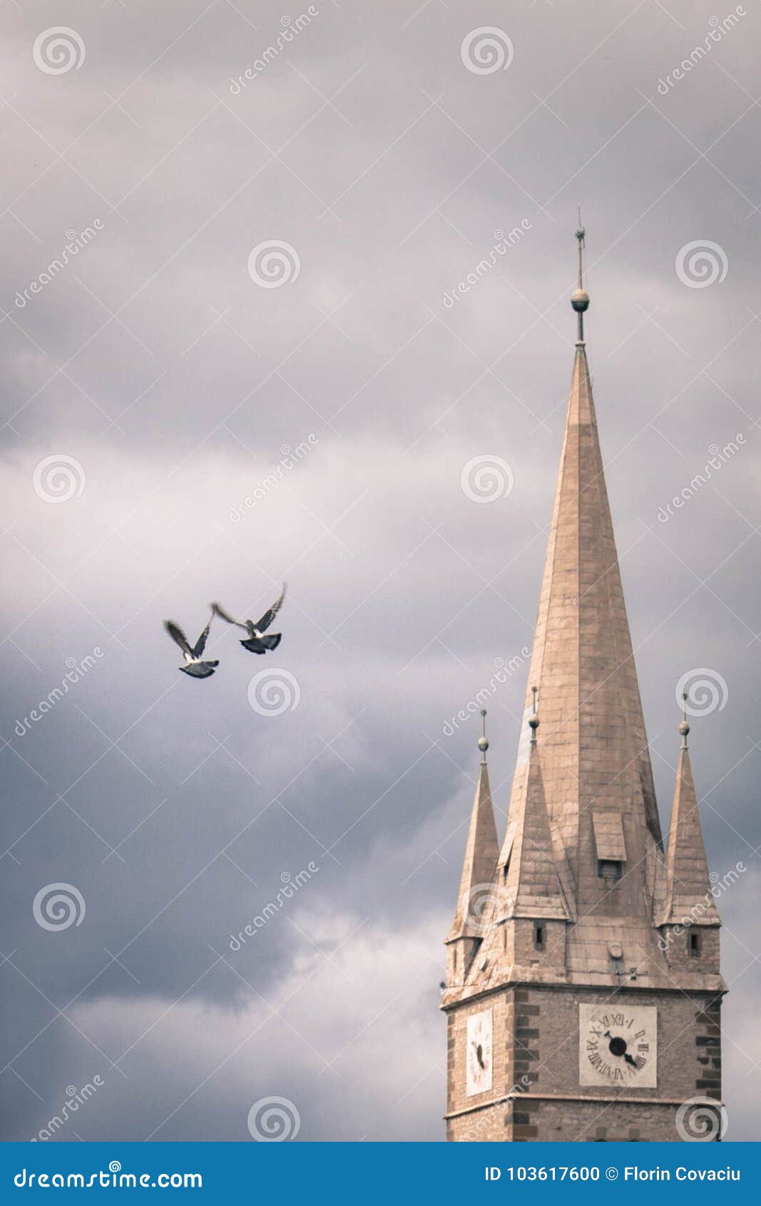 Time flies 2 stock photo. Image of time, birds, clock - 103617600