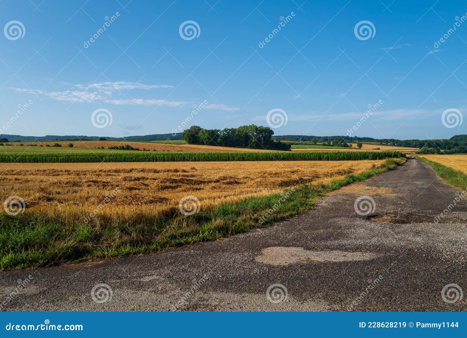 Time for Harvest stock image. Image of farm, farming - 228628219