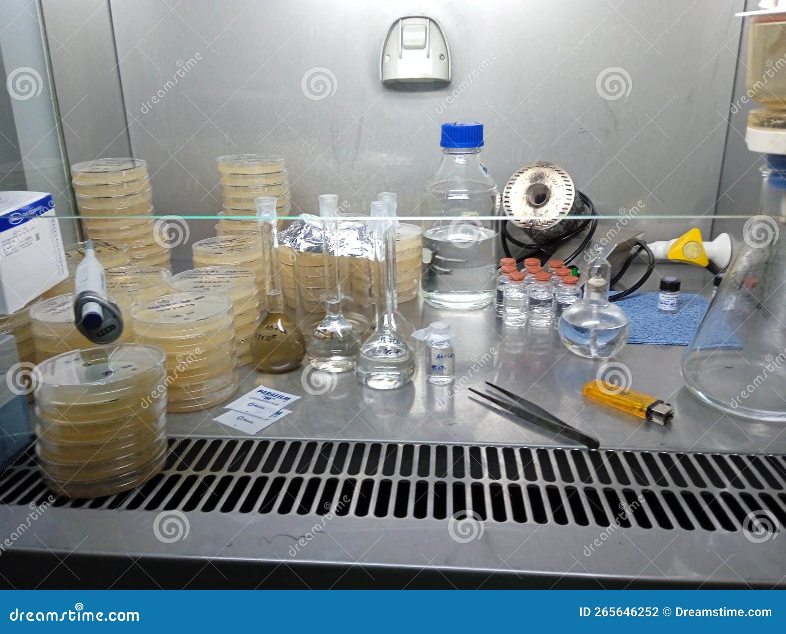 At that Time in the Laboratory, Finished the Microbiological Validation ...