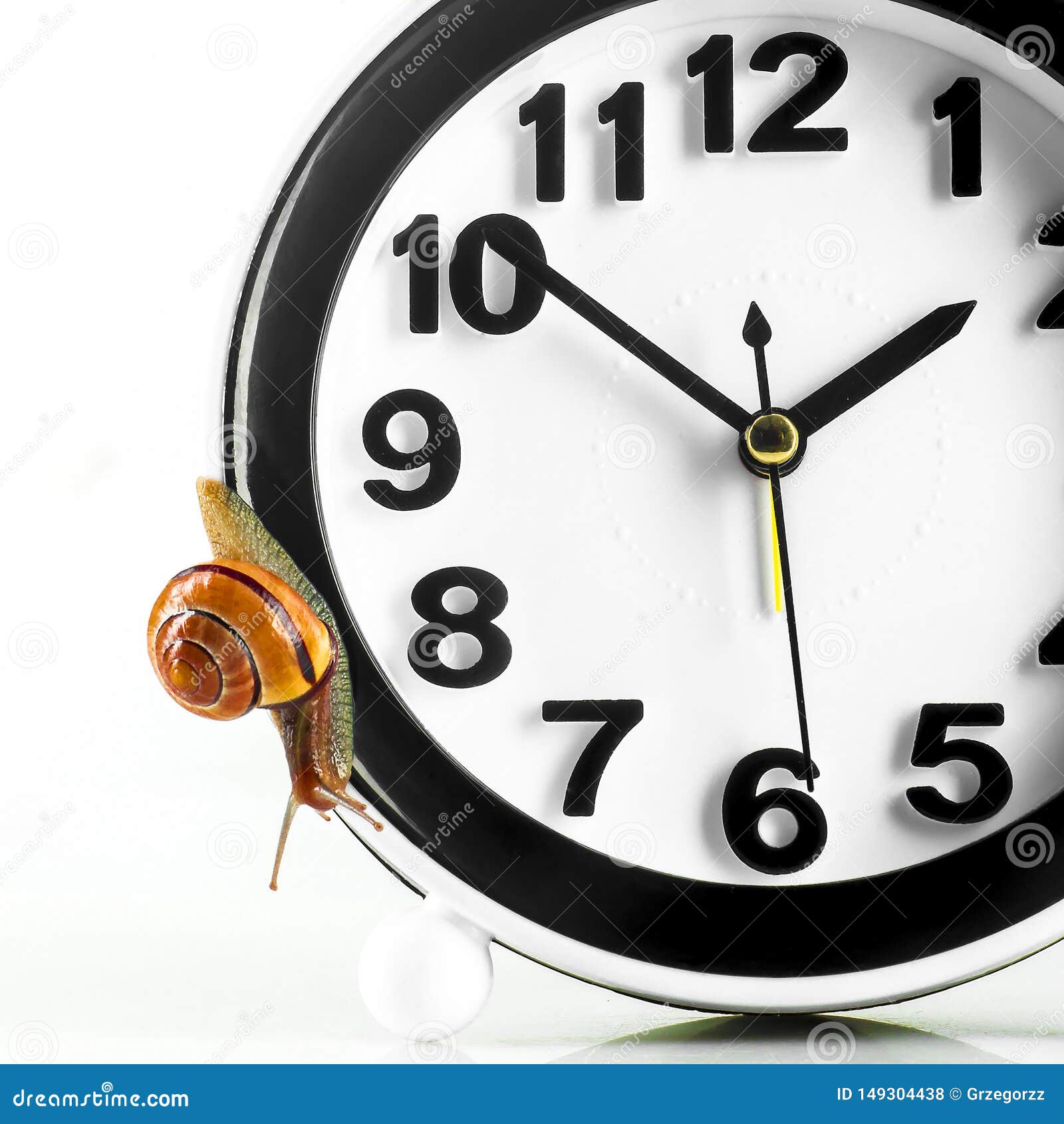 Time Lapse Concept - Snail and Clock Isolated on White Stock Photo ...