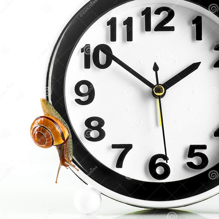 Time Lapse Concept - Snail and Clock Isolated on White Stock Photo ...