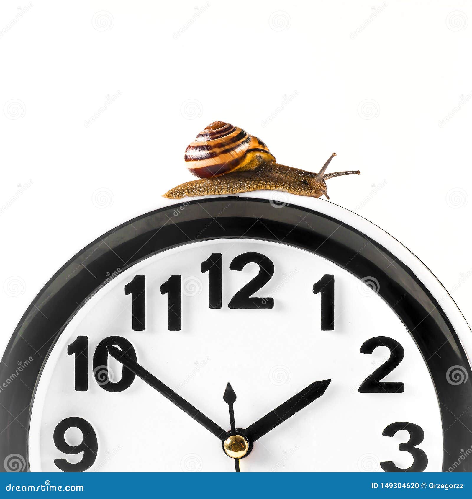 Time Lapse Concept - Snail and Clock Isolated on White Stock Photo ...