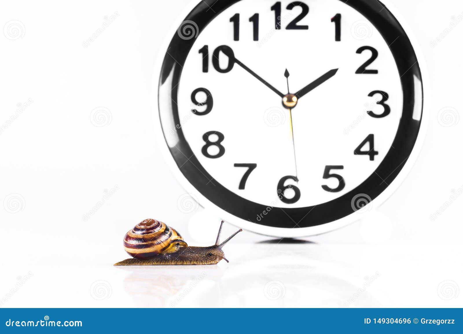 Time Lapse Concept - Snail and Clock Isolated on White Stock Photo ...