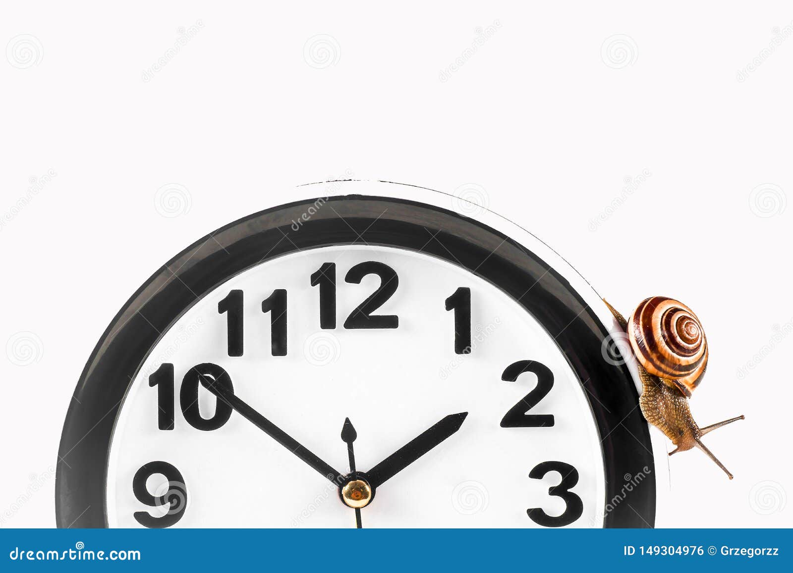 Time Lapse Concept - Snail and Clock Isolated on White Stock Photo ...