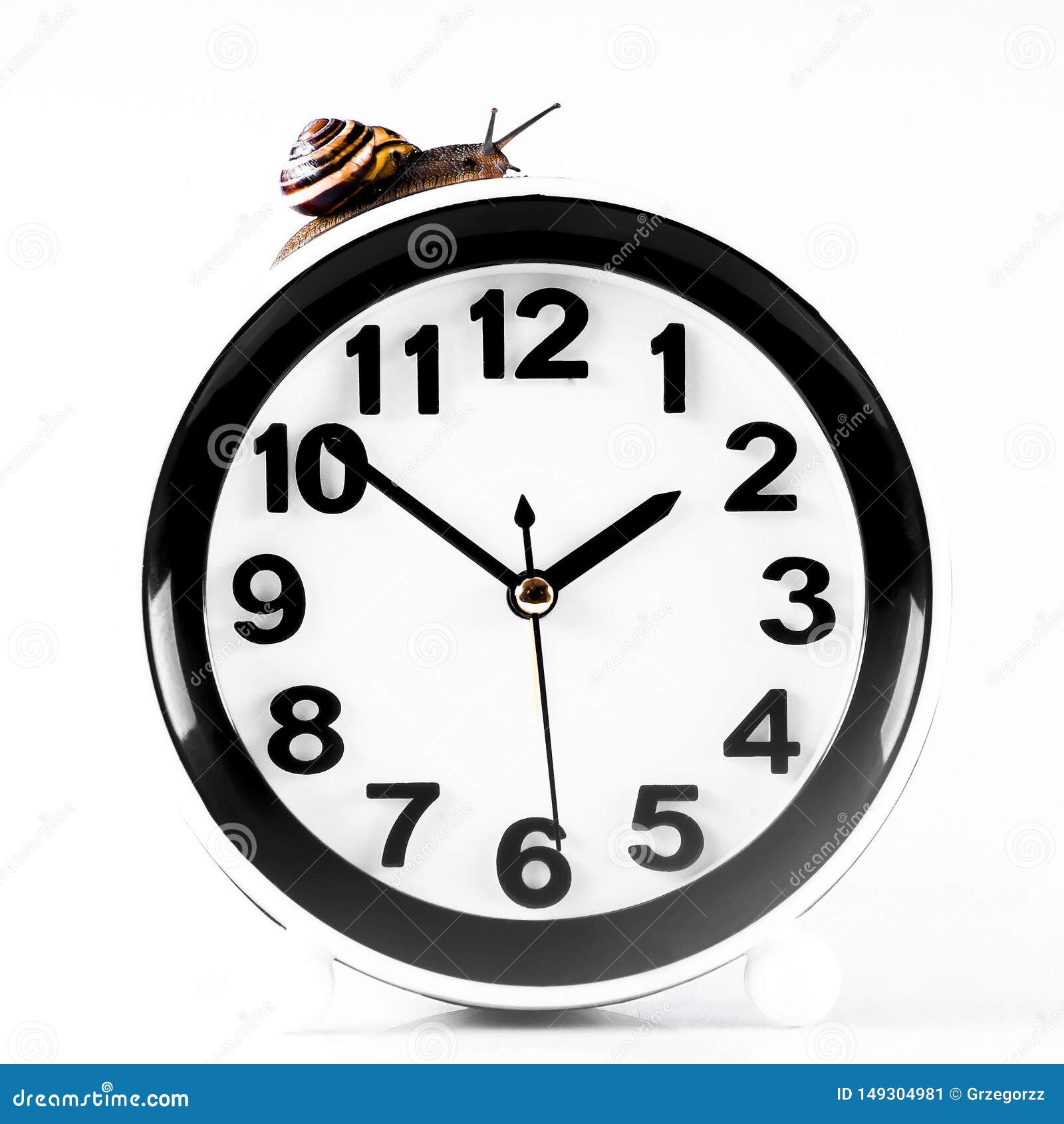 Time Lapse Concept - Snail and Clock Isolated on White Stock Image ...