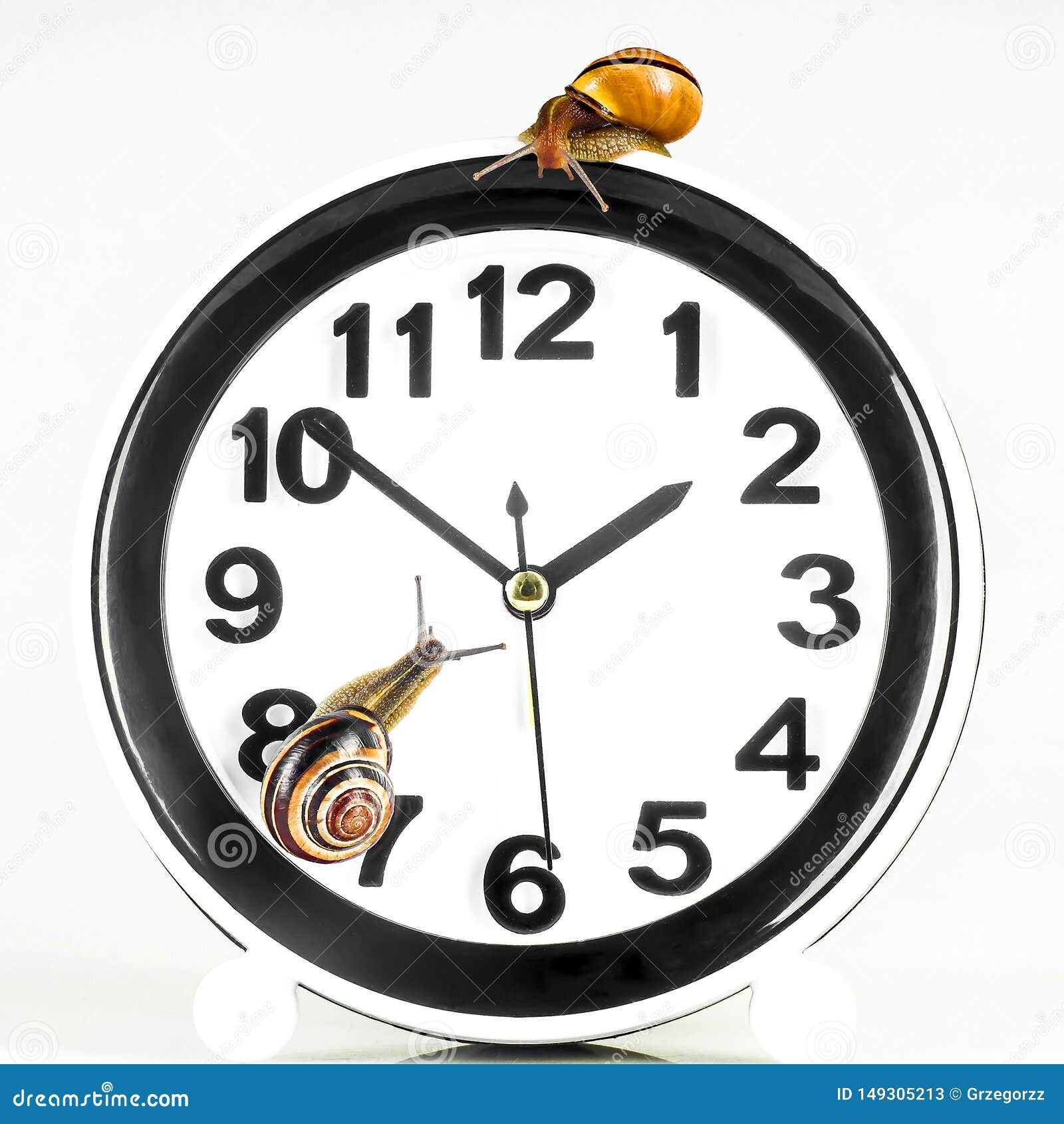Time Lapse Concept - Snail and Clock Isolated on White Stock Image ...