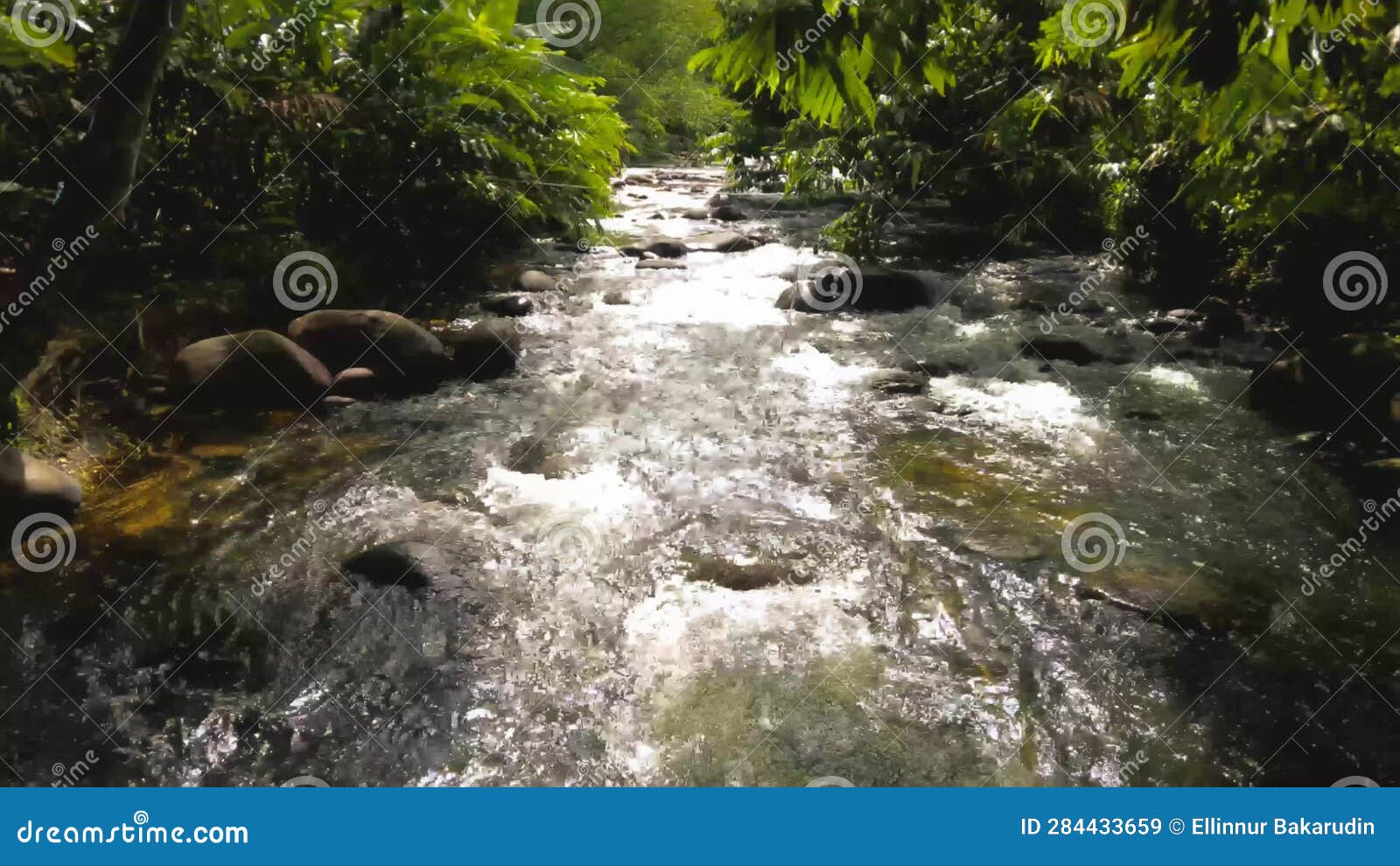Time Lapse of a Creek with Water Flowing, a Rainforest River. 4K. Stock ...