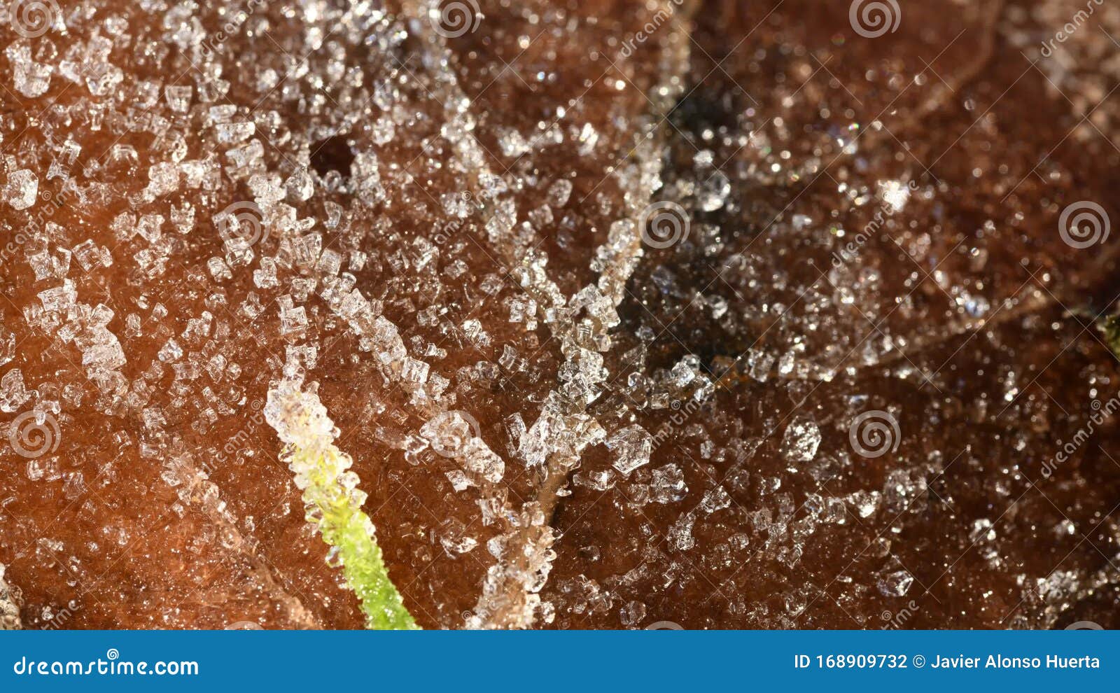 Time-lapse, Ice Defrosting on a Dry Stock Footage - Video of glaze ...