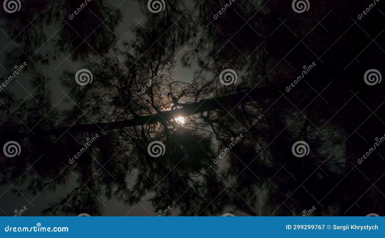 Time Lapse of Moving Moon in Night Sky Stock Video - Video of astronomy ...