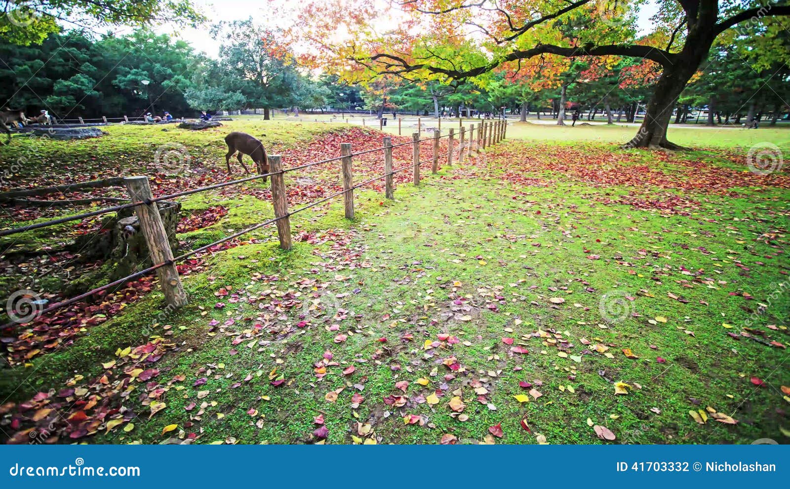 Nara Cartoons, Illustrations & Vector Stock Images - 455 Pictures to ...