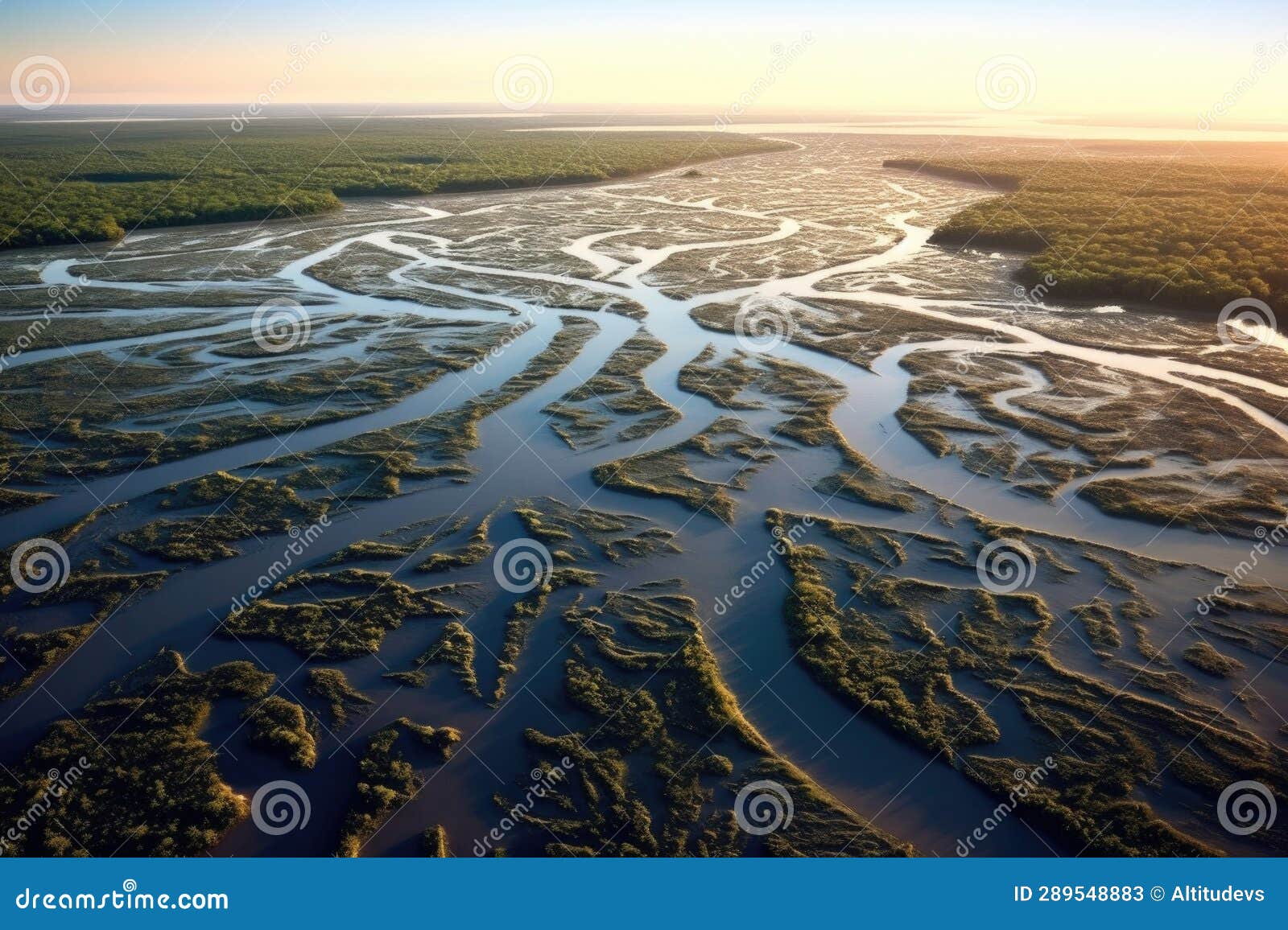 Time-lapse of a River Delta Forming Over Years Stock Illustration ...