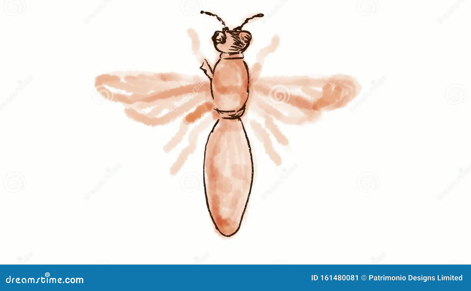Wasp Drawing Time Lapse 2D Animation Stock Video - Video of sketch ...
