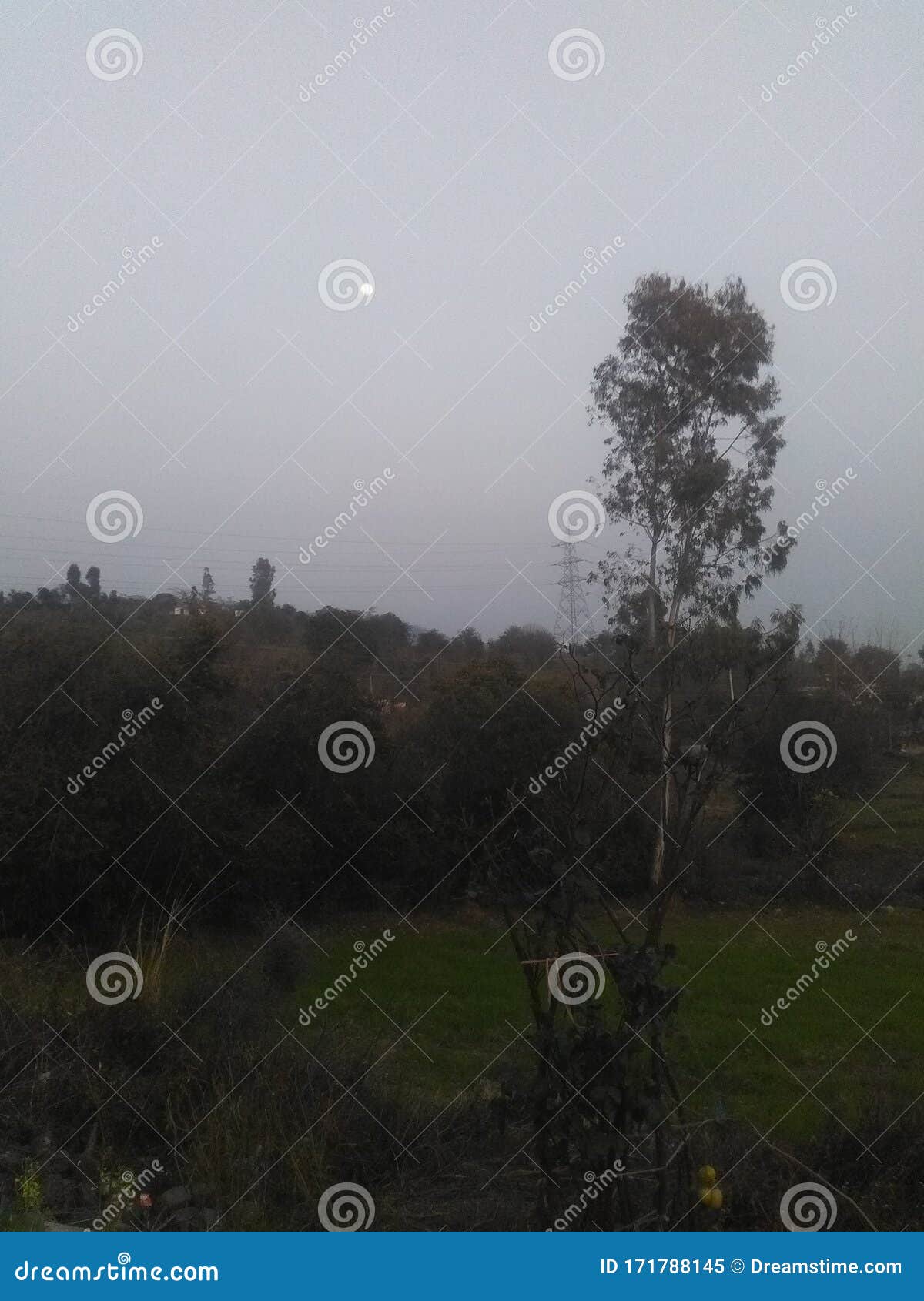 This Time Mone Rise in Evening Stock Image - Image of moment, beautiful ...