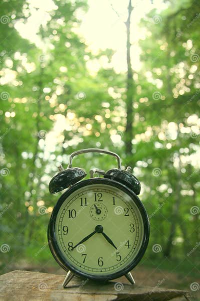 Time for nature stock photo. Image of idea, environmental - 5997326