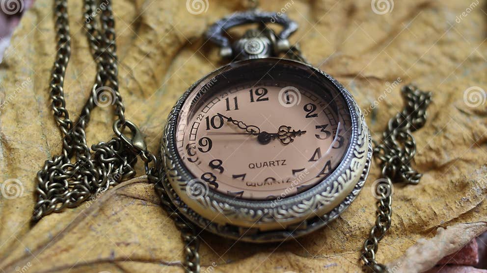 Time never stops stock image. Image of watch, leave - 116424221