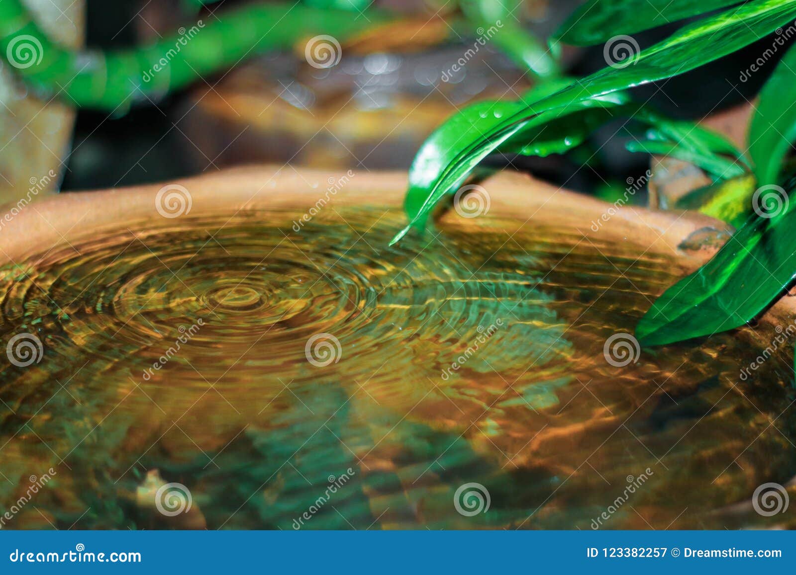 Ripple on water stock image. Image of summer, earth - 123382257