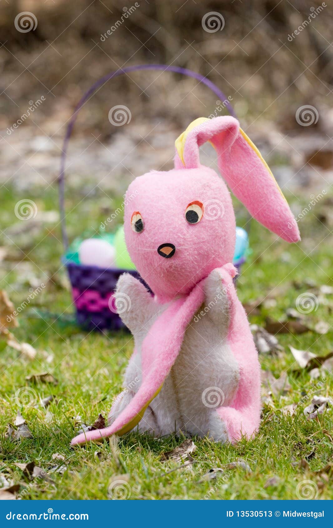 Time for Retirement, Easter Bunny Getting Older Stock Image - Image of ...
